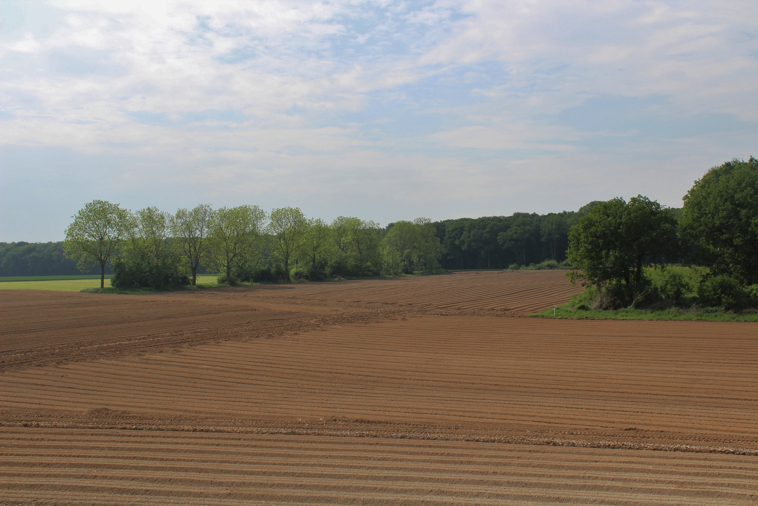 Mametz Wood – The 38th Welsh Division Memorial | With the British Army ...